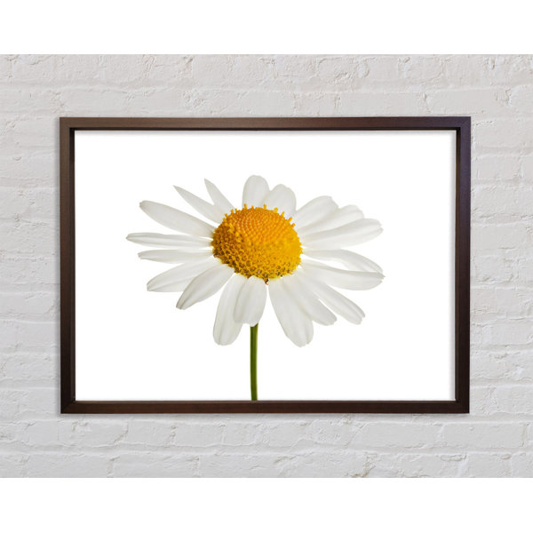 Ebern Designs Einzelner Bilderrahmen Kunstdrucke auf Leinwand | Wayfair.de